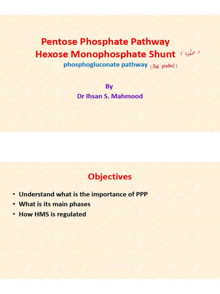 PPP-HMS-phosphogluconate Pathway 2023 | PDF | Metabolic Pathway ...
