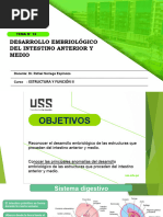 Persistencia del Conducto Onfalomesentérico | PDF | Anatomía ...