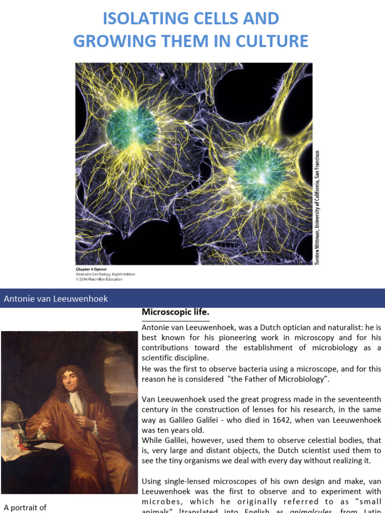 Culturing Cells and Methodologies - Compressed | PDF | Polyclonal B ...