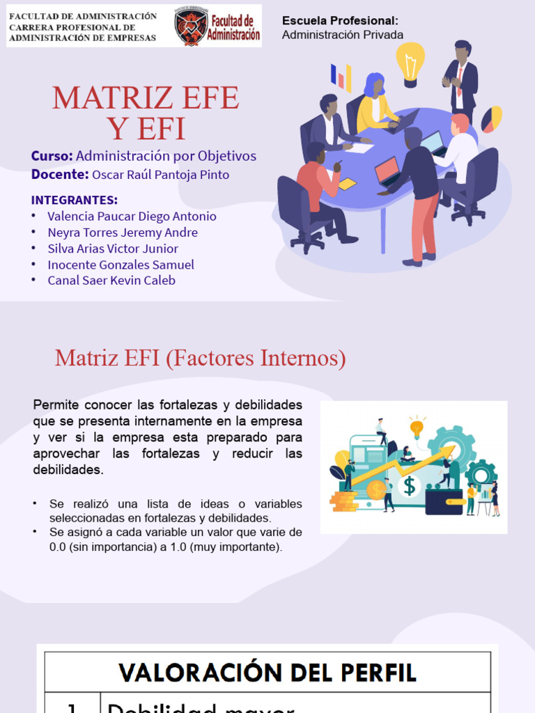 MATRIZ EFI Y EFE | PDF