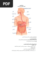 سلسلة تمارين الهضم سنة رابعة متوسط romaissa - prof | PDF
