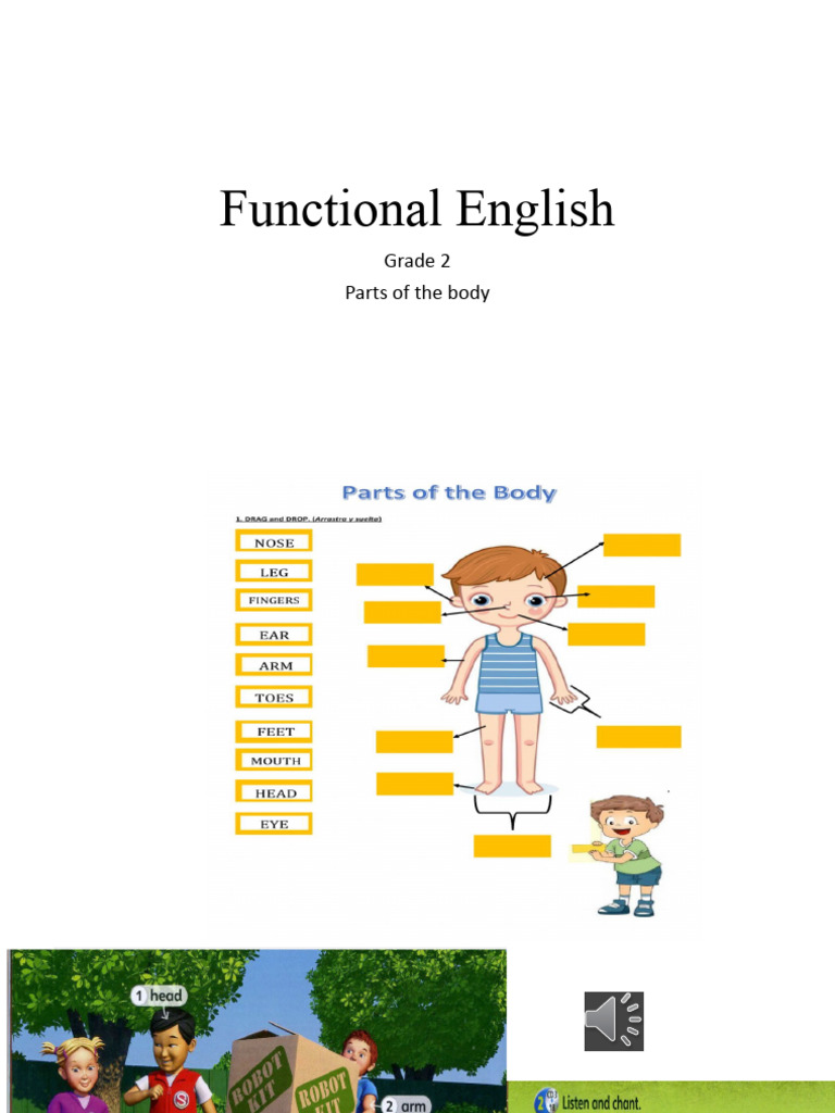 Functional English. Parts of The Body. Grade 2 | PDF