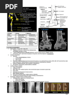 Differential Diagnosis of Bone Tumors | PDF | Bone | Metastasis