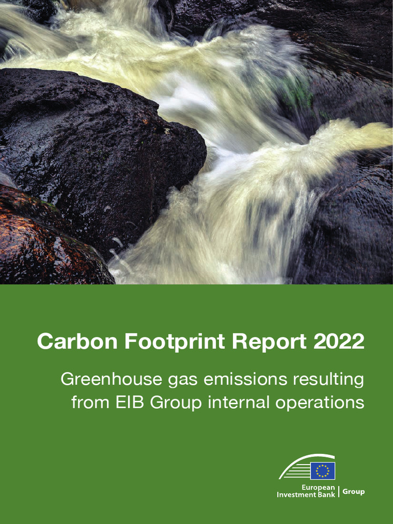 Carbon Footprint Report 2022 en | PDF | Carbon Offset | Carbon Footprint