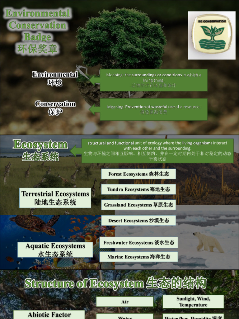 Environmental Conservation | PDF