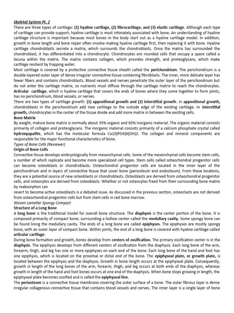 Skeletal System More On Process | PDF | Bone | Osteoblast