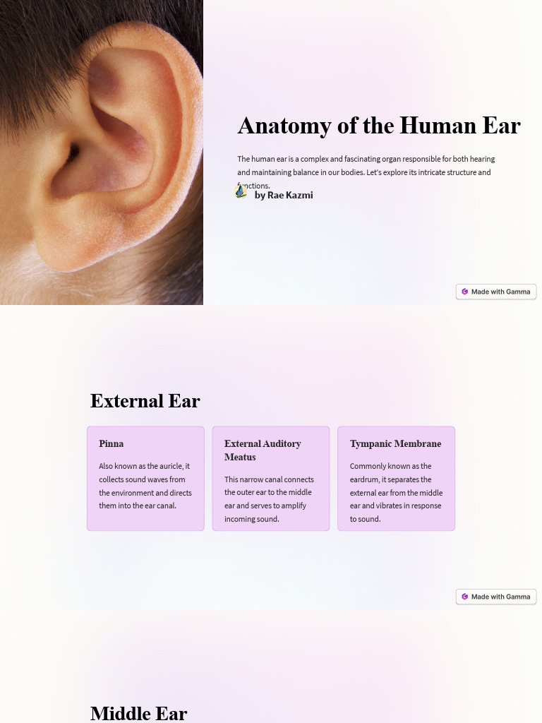 Anatomy of The Human Ear | PDF | Ear | Hearing