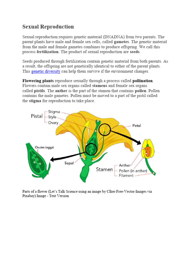 Sexual Reproduction | PDF