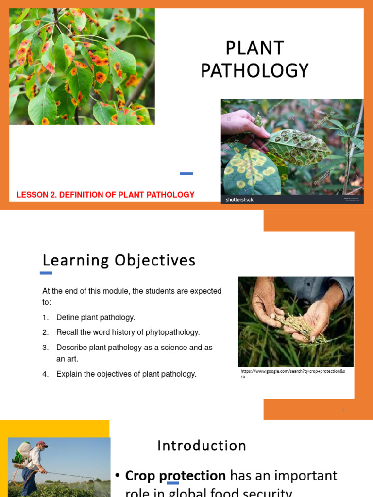 Lesson 2 Plant Pathology | PDF | Plant Pathology | Infection