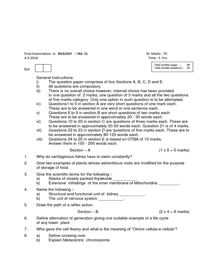 Cbse Class 11 Biology 2016 | PDF | Synapse | Chemical Synapse