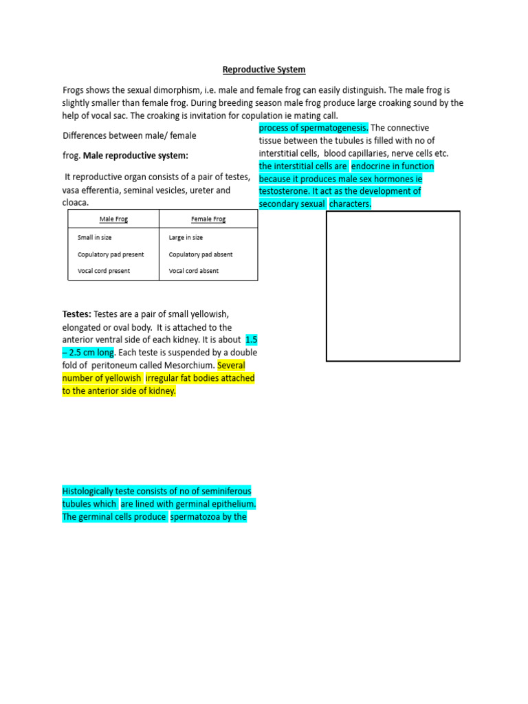 F.Reproductive System of Frog | PDF