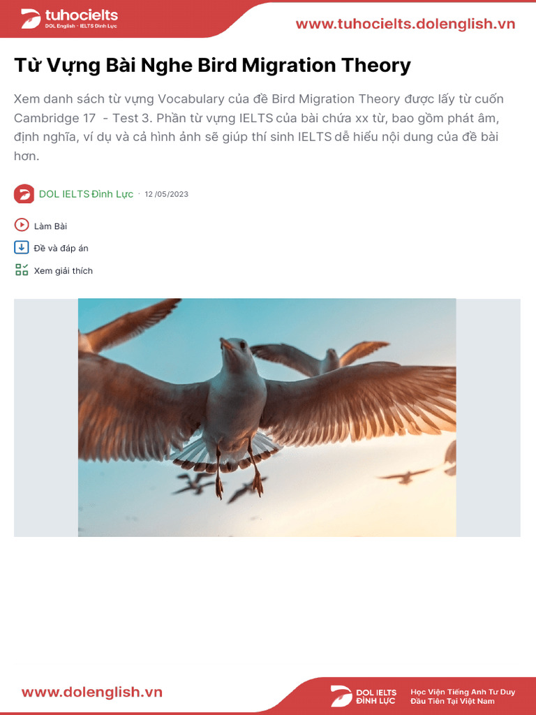 Bird Migration Theory Pdf