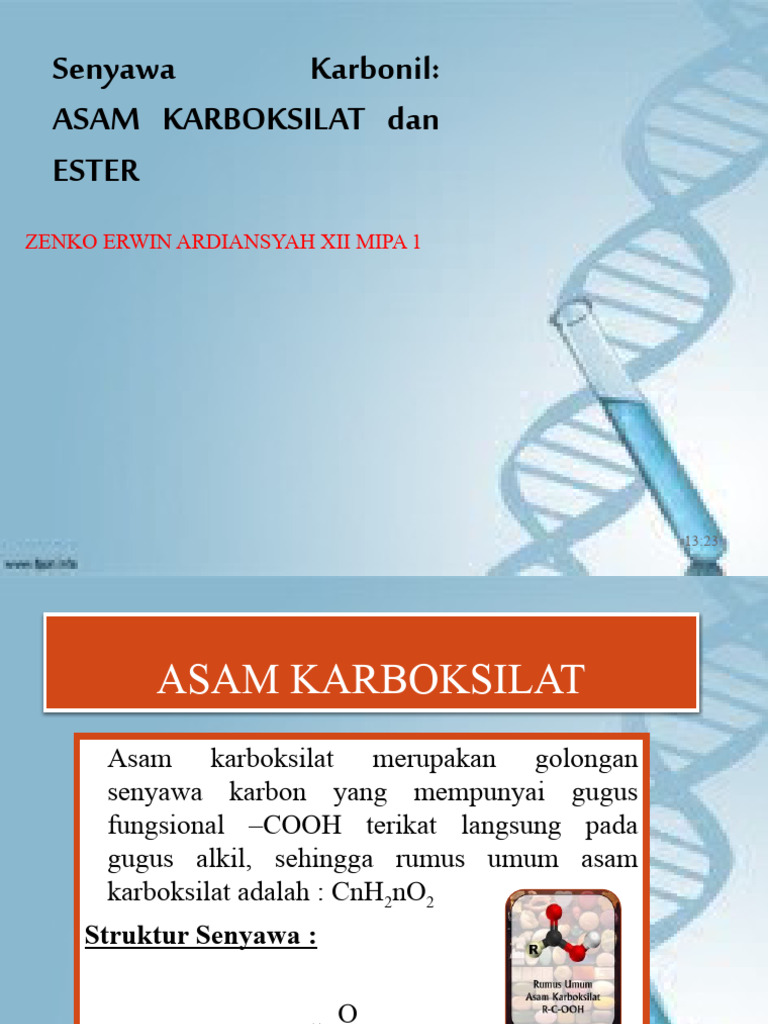 Kimia Asam Karboksilat dan Ester | PDF
