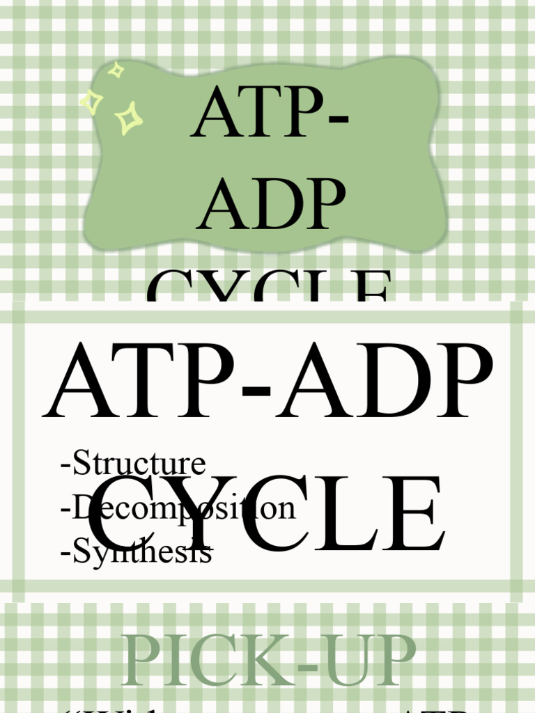 Atp Adp PPT 1 | PDF