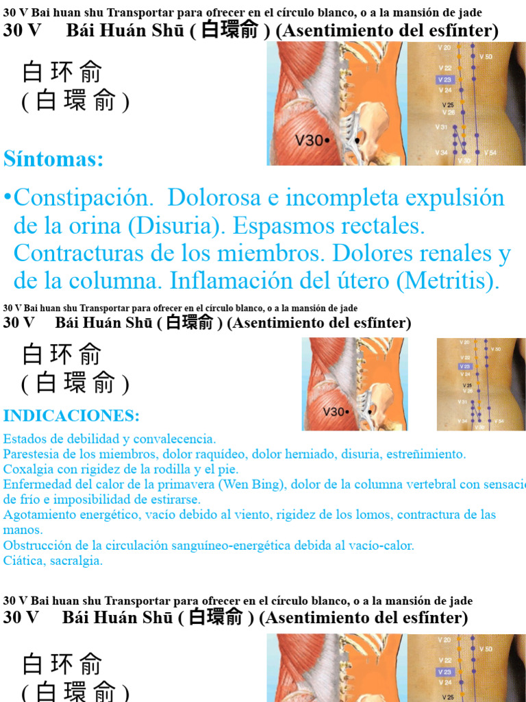 30 V Bái Huán Shū (白環俞) Transportar para ofrecer en el círculo blanco ...