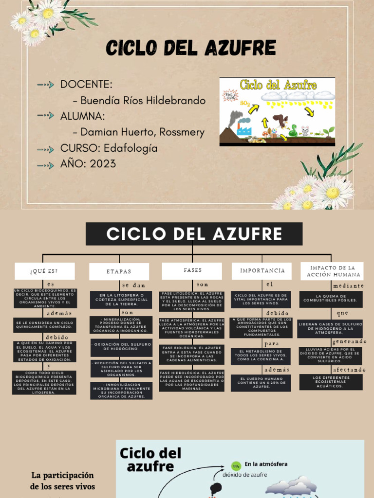 El Ciclo Del Azufre | PDF