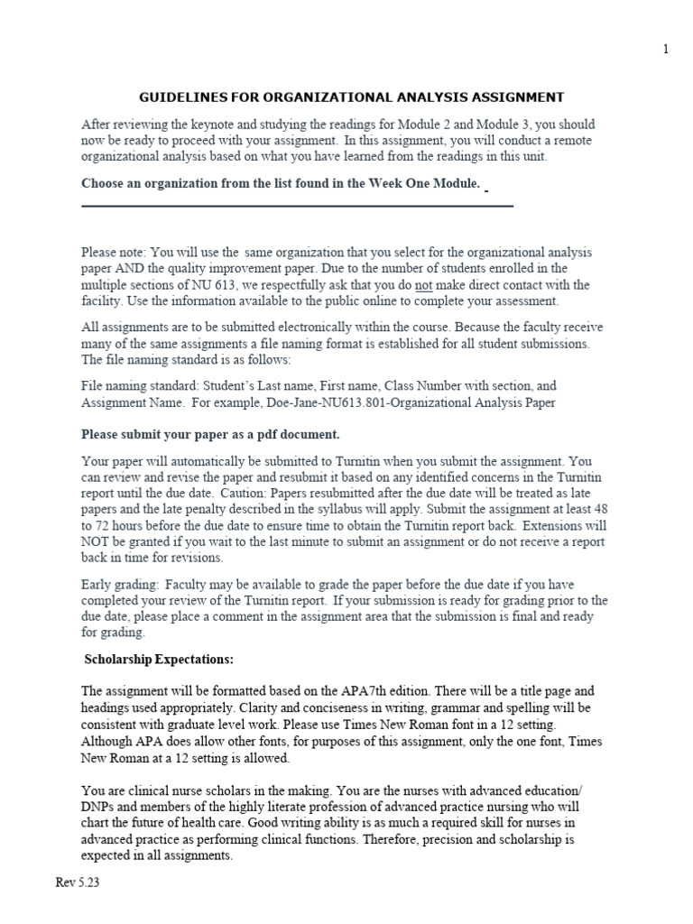 Organizational Analysis Guidelines | PDF | Nursing | Turnitin