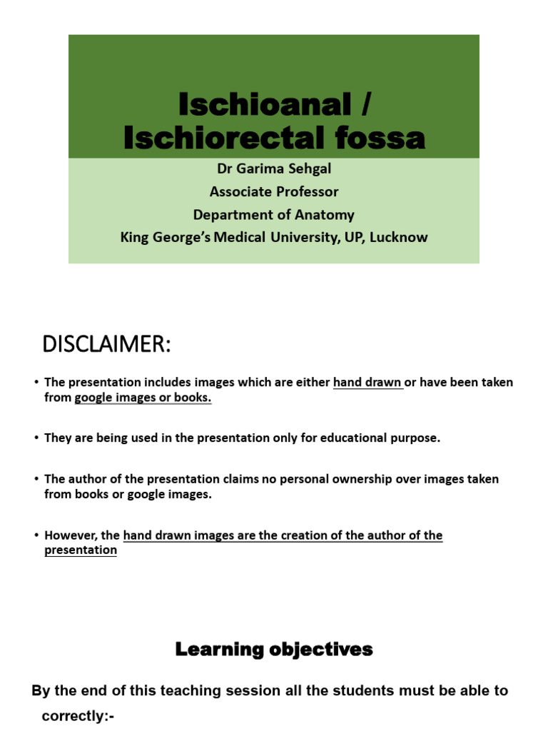 Ischioanal Fossa | PDF