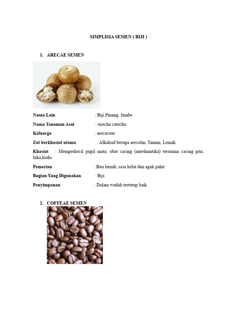 Simplisia Semen | PDF