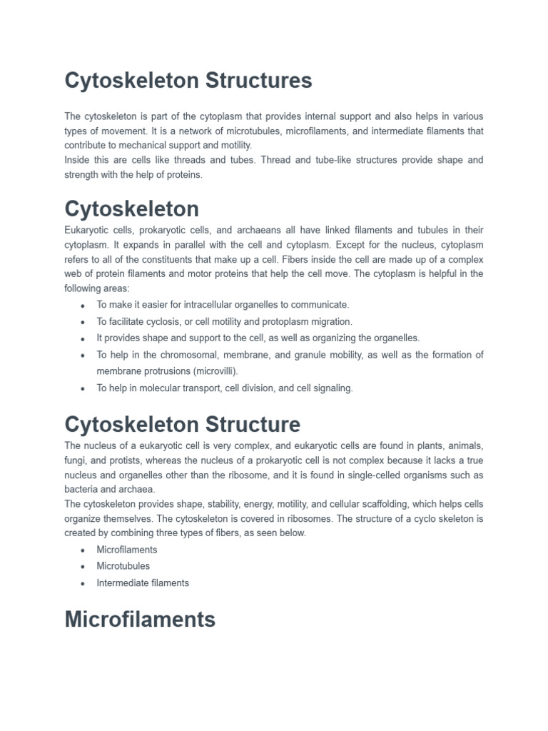 Cytoskeleton Structure | PDF
