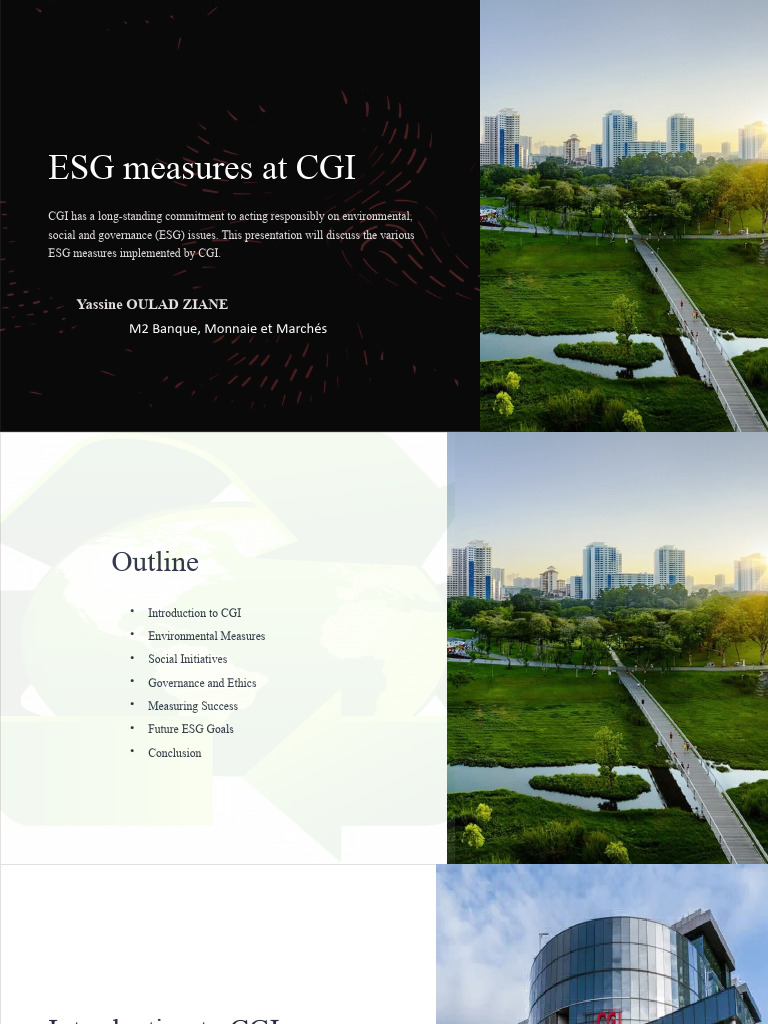 CGIs ESG Measures | PDF