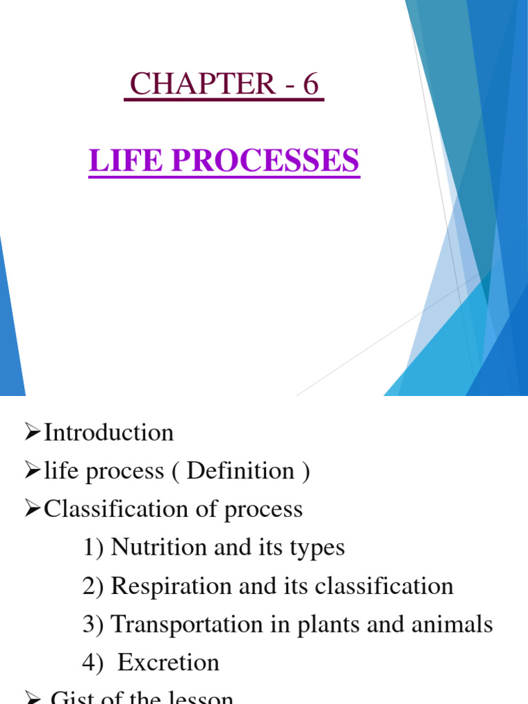 Understanding Life Processes in Biology | PDF | Nutrition | Diet ...