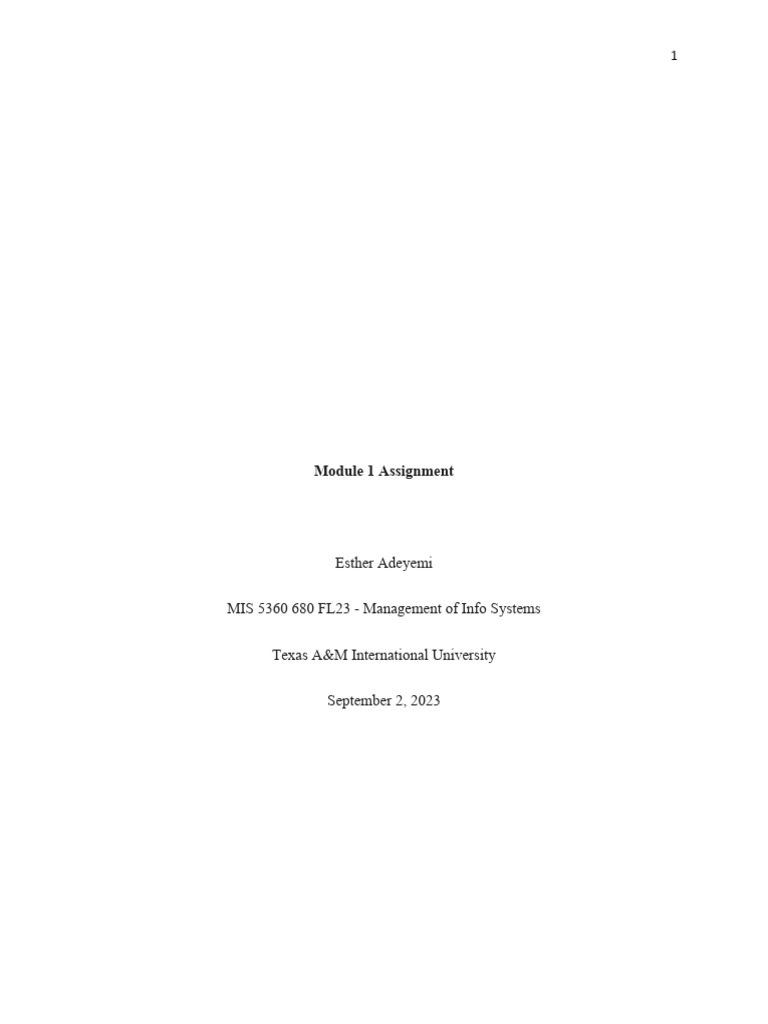 MIS5360 Module 1 Assignment Esther Adeyemi | PDF | Retail | Customer ...