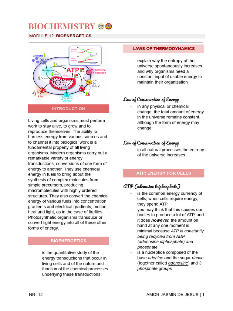 Module 12 Bioenergetics | PDF | Bioenergetics | Adenosine Triphosphate