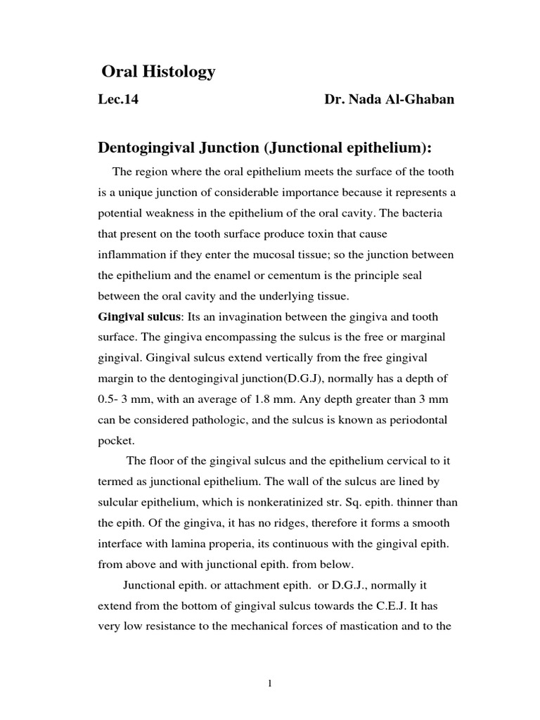 Dento Gingival Junction Lecture 2020 | PDF | Anatomy | Mouth