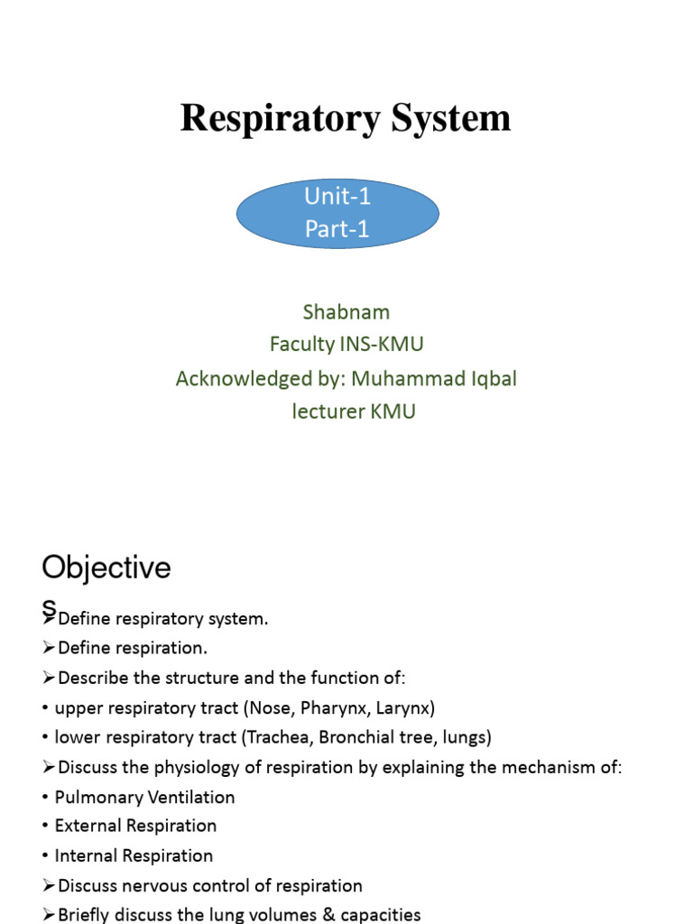 Anatomy and Physiology 2nd Semester BSN Notes, Educational Platform ...
