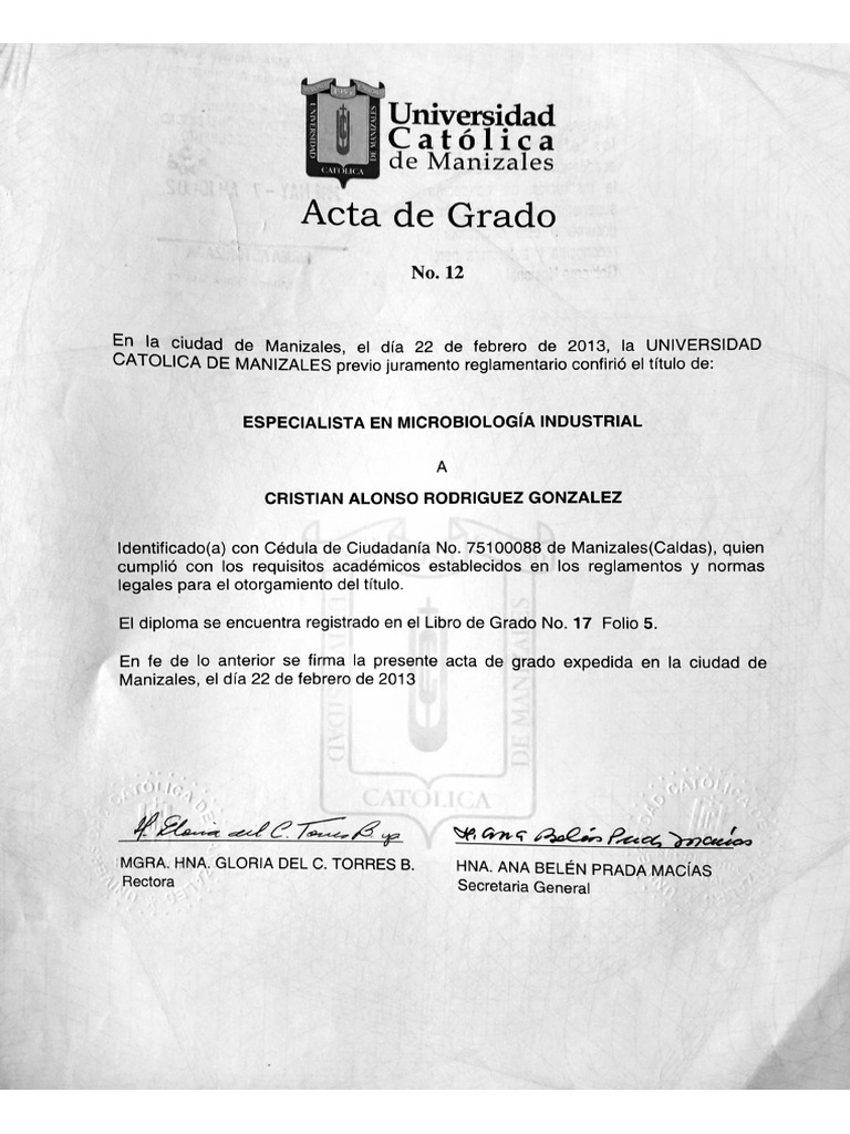 Documento 98 | PDF