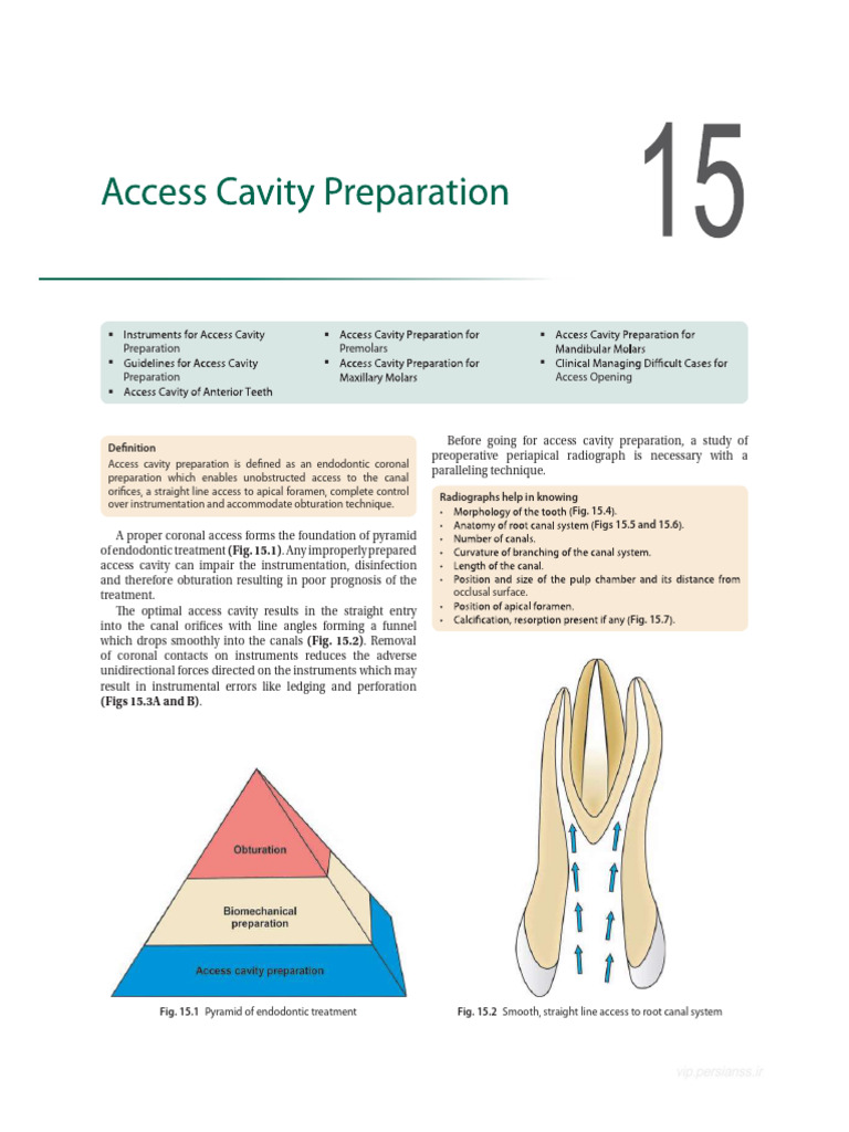Access Cavity Preparation | PDF | Dentistry Branches | Dental Anatomy