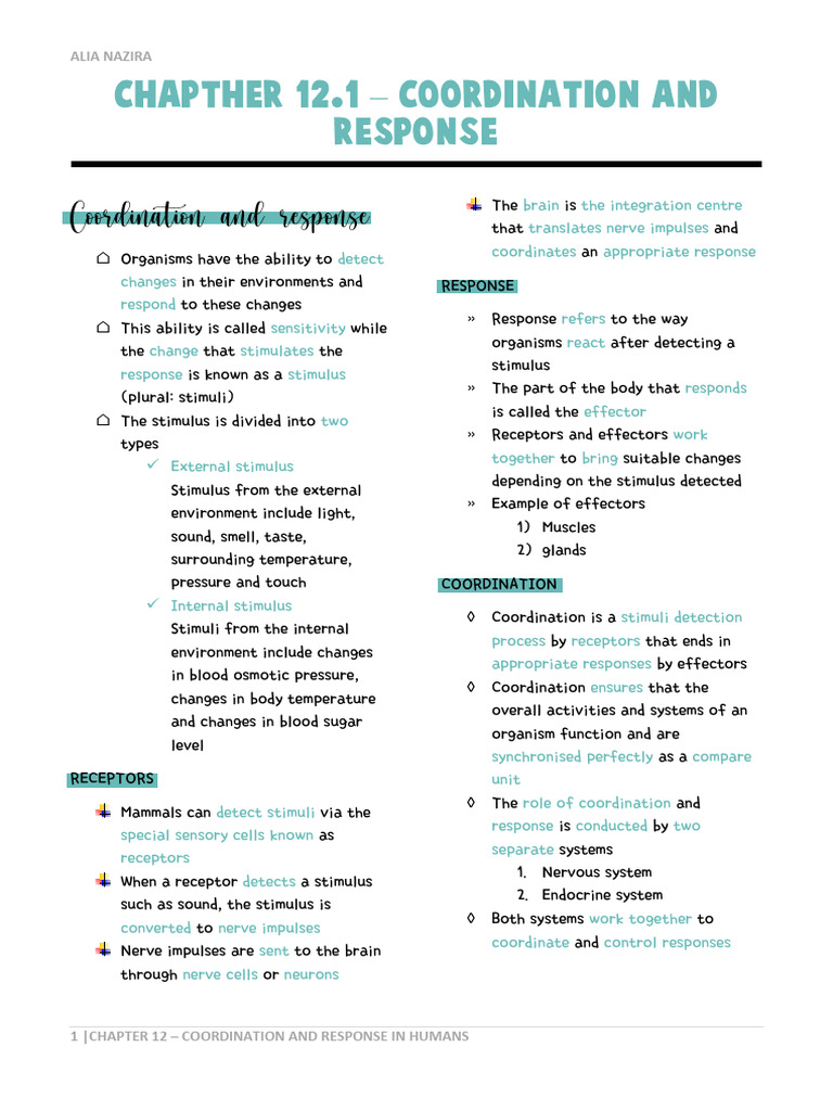 Coordination and Response in Humans | PDF | Stimulus (Physiology) | Neuron