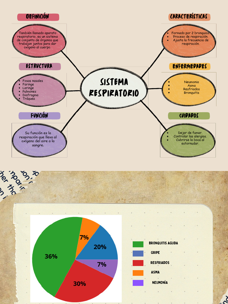 Colorful Creative Mind Map Graph | PDF