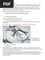 Maseni I Volumni Udio | PDF