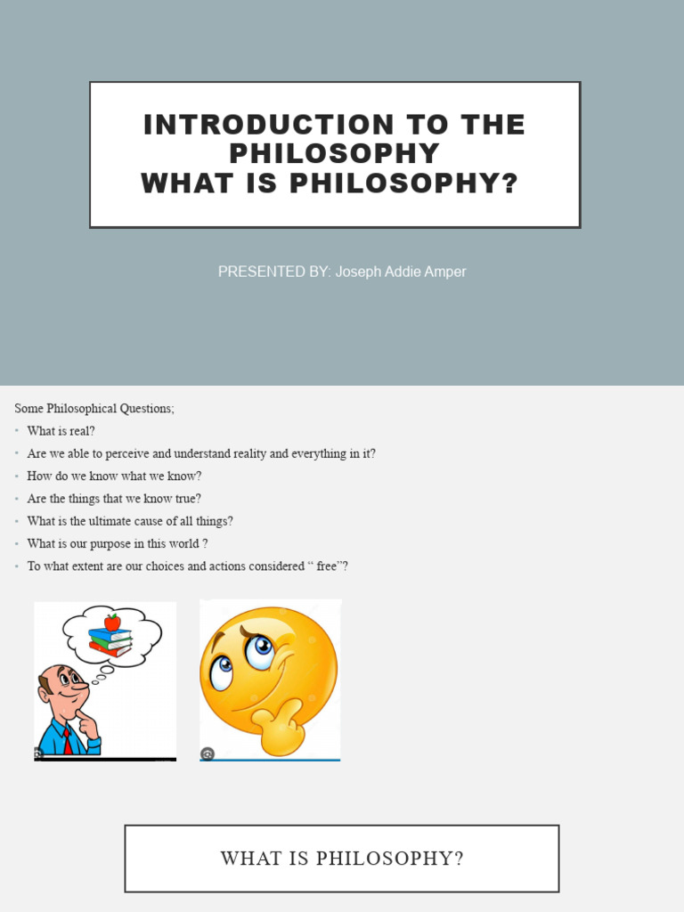 Philosophy Report | PDF | Idea | Reason