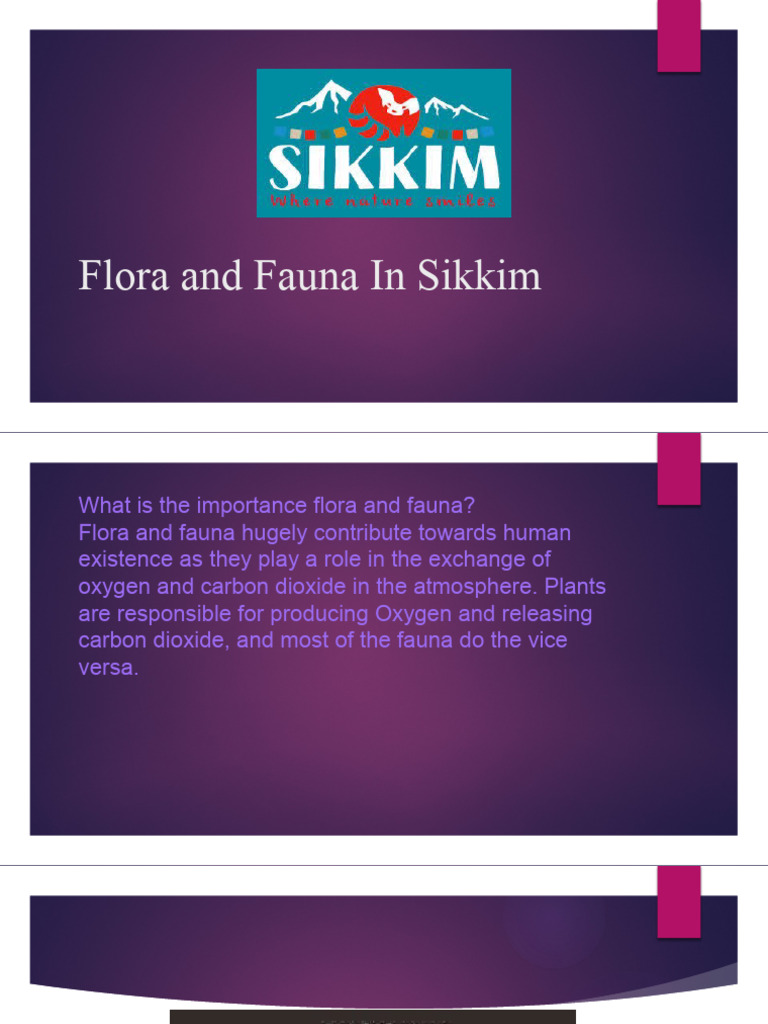 Flora and Fauna in Sikkim Project | PDF