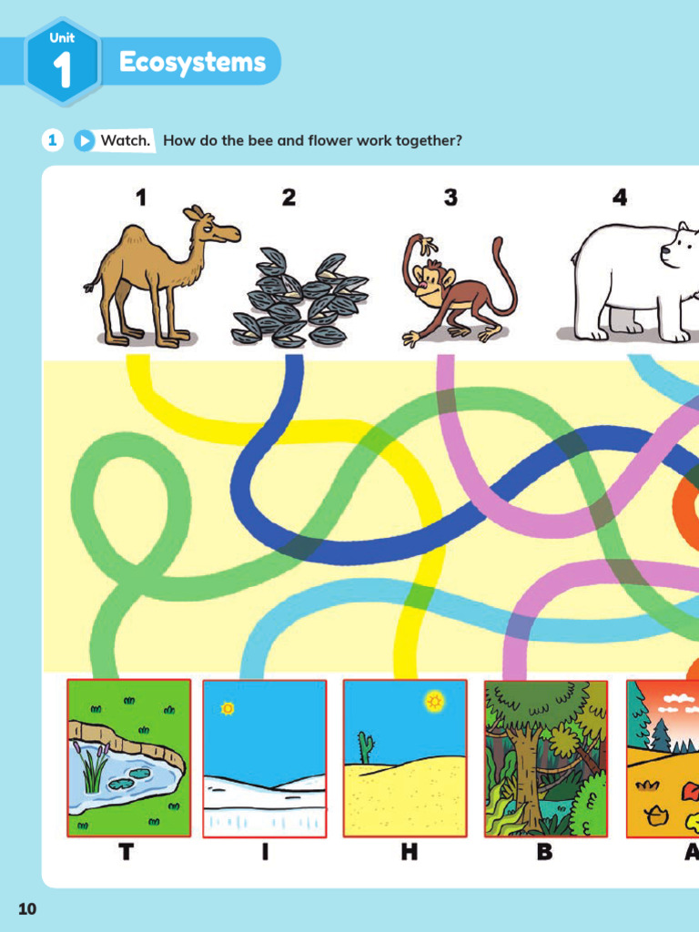 Clil World Natural Sciences 4 Unit 1 | PDF | Ecosystem | Agriculture