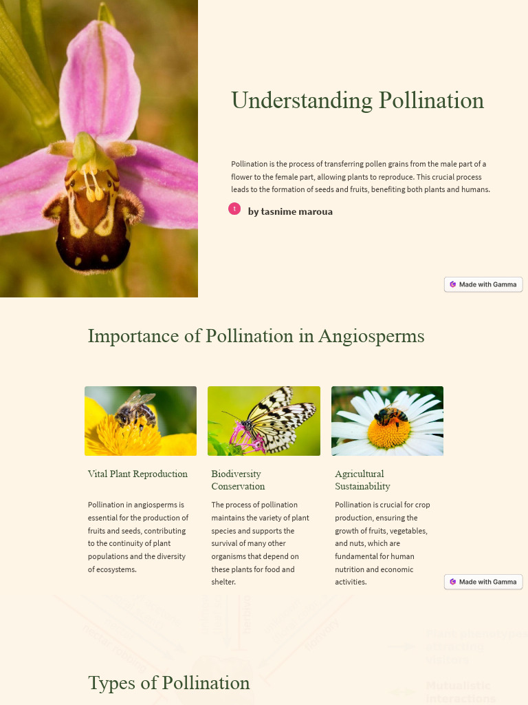 Understanding Pollination | PDF | Pollination | Flowers