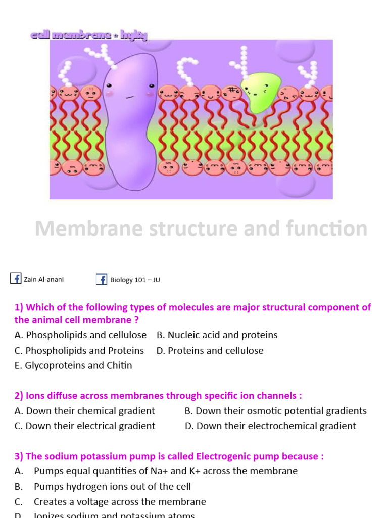 Ion Channels and Electrogenic Pumps | PDF | Cellular Respiration ...
