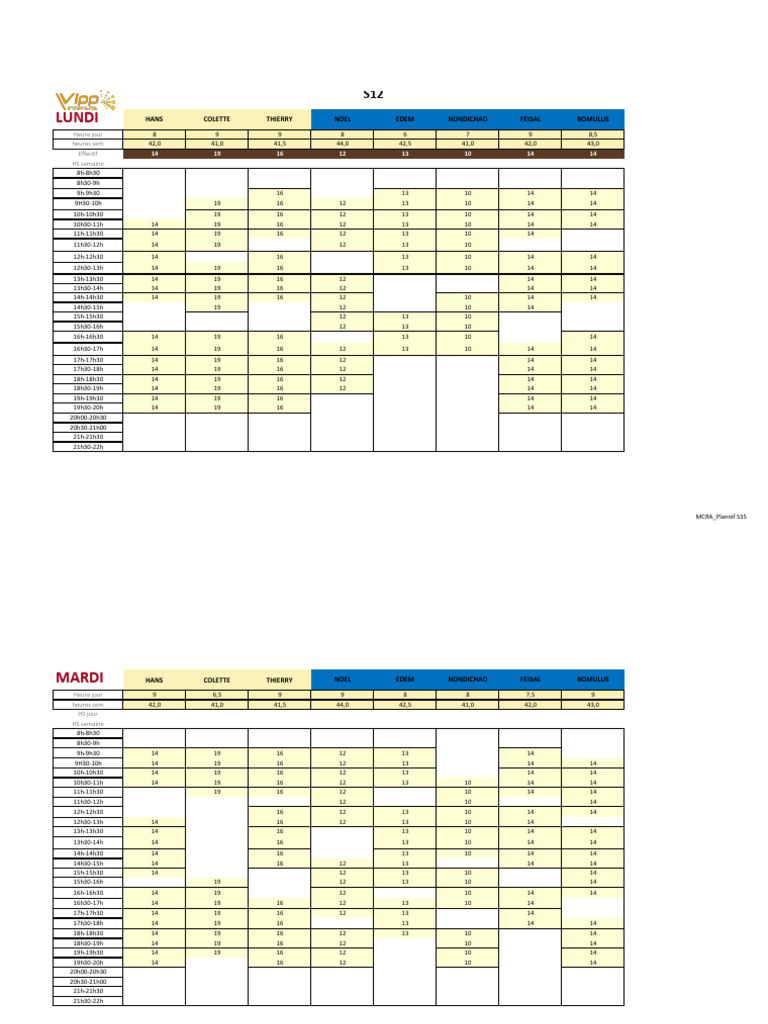 SVAKI Plannif S12 YAO 2022 Okkk | PDF