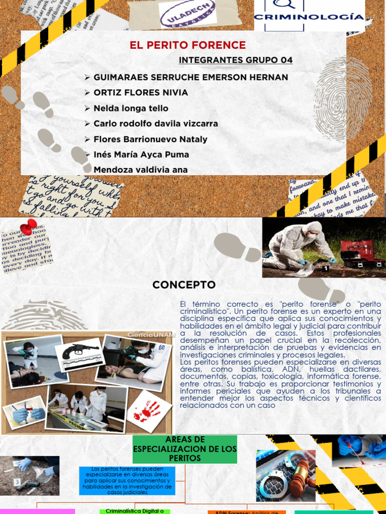 El Perito Forence - Correcto | PDF | Huella dactilar | Ciencia forense