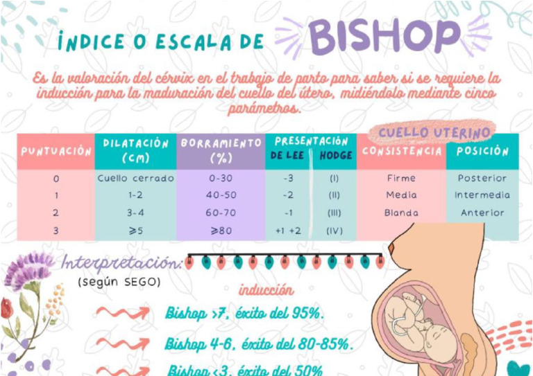 BISHOP | PDF