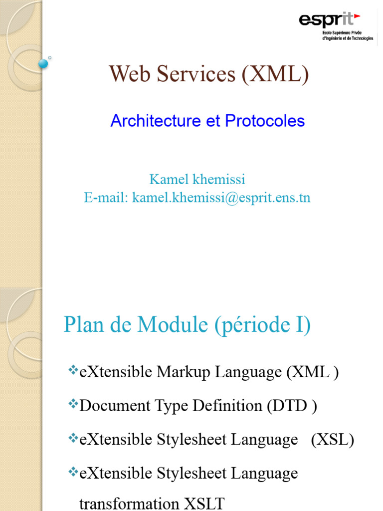 Web Service | PDF