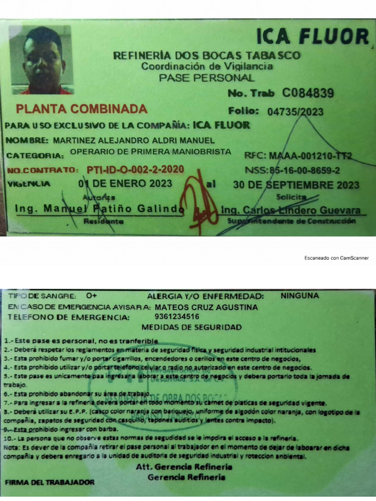 Credencial ICA FLOUR | PDF