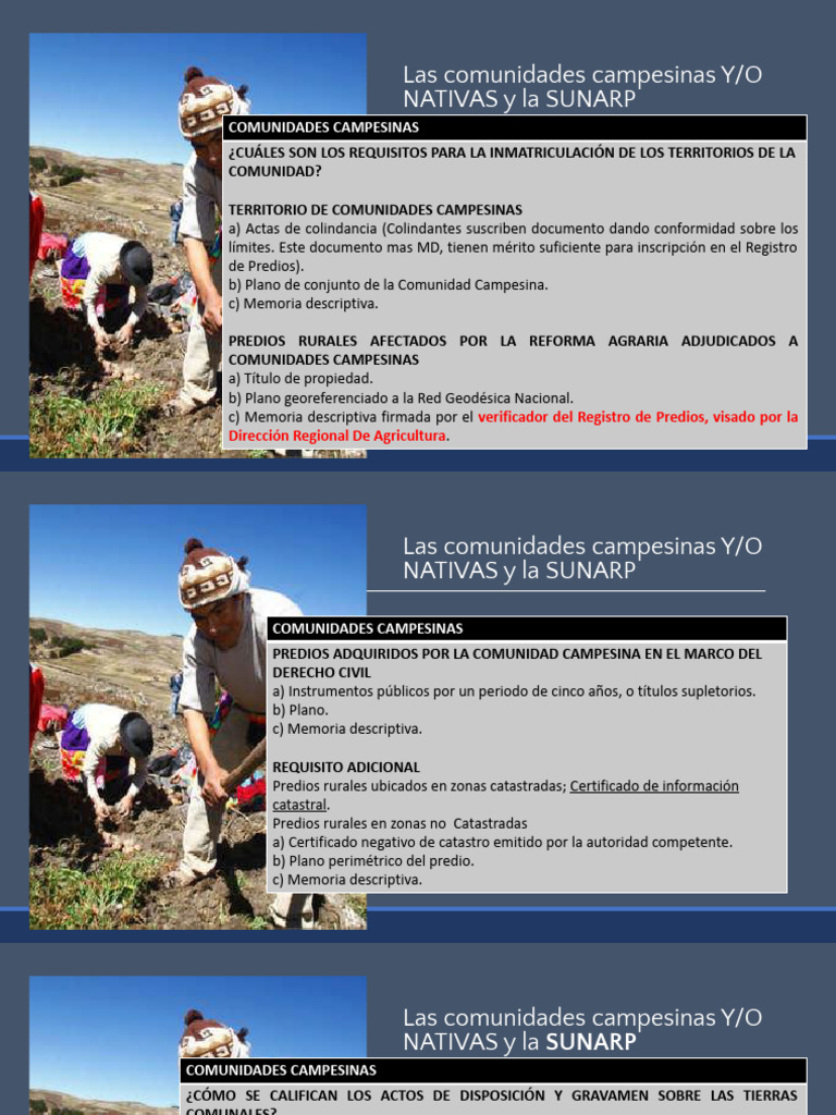 Com. Campesinas y La Sunarp | PDF