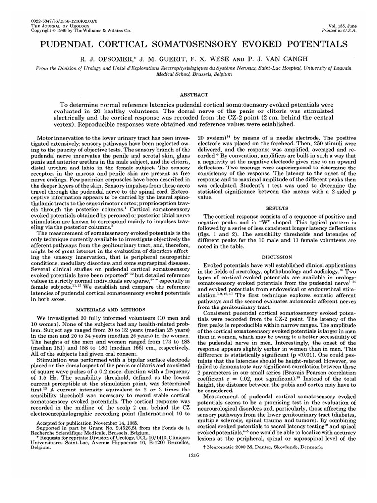 Pudendal Cortical Somatosensory Evoked Potentials | PDF | Somatosensory System | Cerebral Cortex