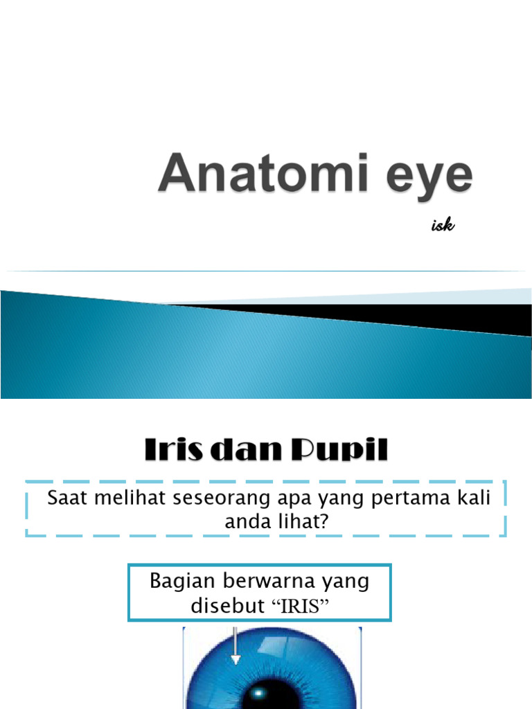 Anatomi Eye | PDF