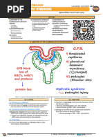 Nephrology Mnemonics Guide | PDF | Kidney Disease | Kidney