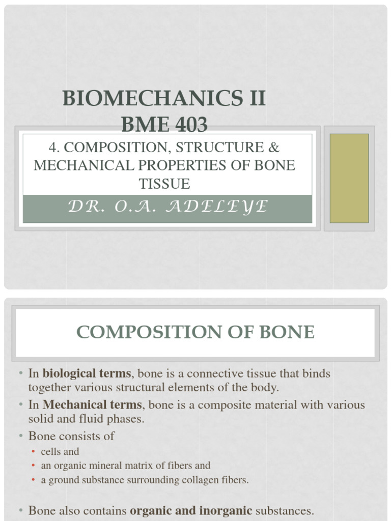 Bone Composition and Mechanical Properties | PDF | Bone | Young's Modulus